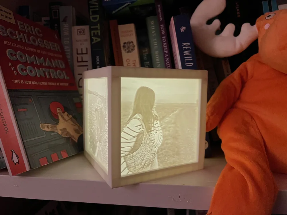 Lithophane Panel Cube Lamp - Free 3D Print Model - MakerWorld