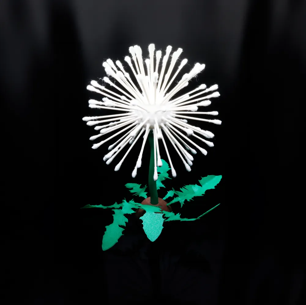 Dandelion Q-Tip Holder by Eluded Studios - MakerWorld