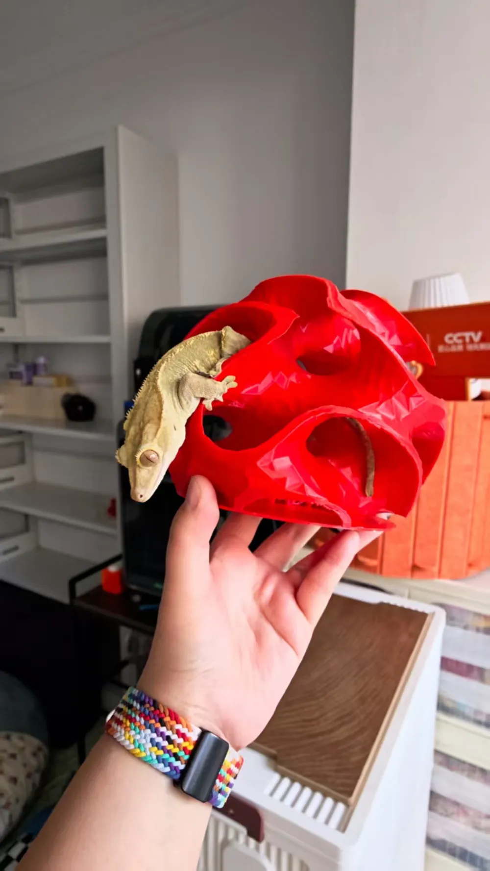 Low-poly minimal surface spherical hide for reptiles - Free 3D Print ...