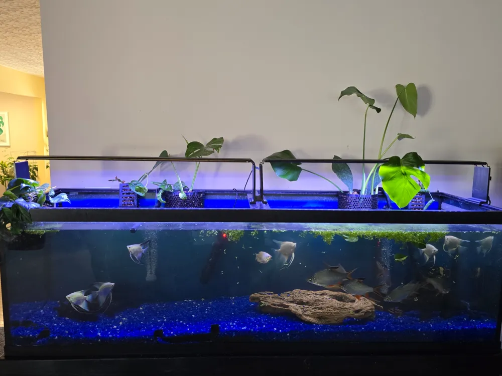 Aquarium Light Riser for Large Aquariums - Free 3D Print Model - MakerWorld