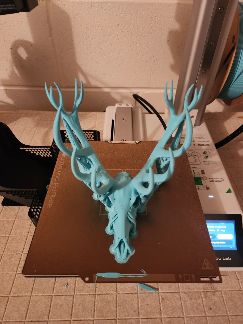 "Red Stag" Deer Skull by dtm247 - MakerWorld