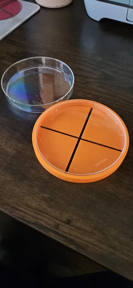 100mm Petri Dish Quadrant Stencil by Dirk MakerWorld: Download Free 3D ...
