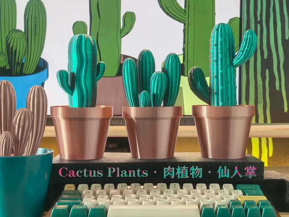 Cactus Plants, Succulents, Cacti by Sumee1798 - MakerWorld