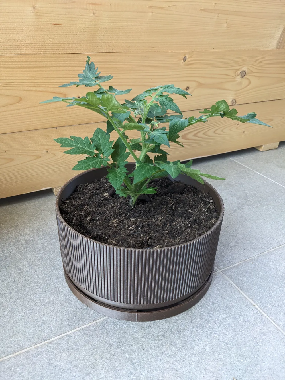 Wide but low profile pot with tray by Wakkster - MakerWorld