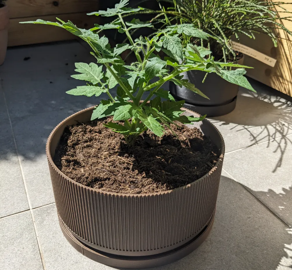 Wide but low profile pot with tray by Tycho Design - MakerWorld