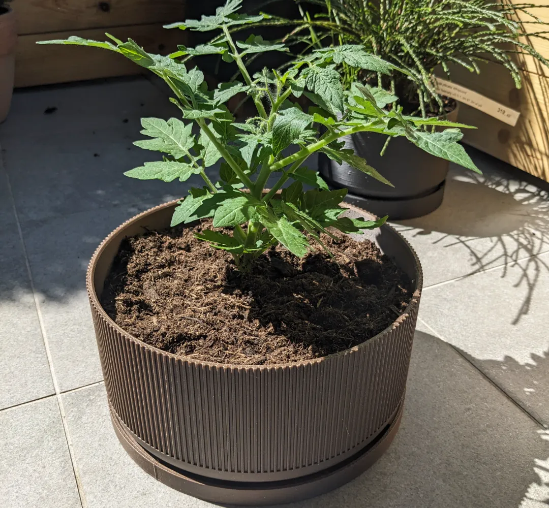 Wide but low profile pot with tray by Tycho Design MakerWorld: Download ...