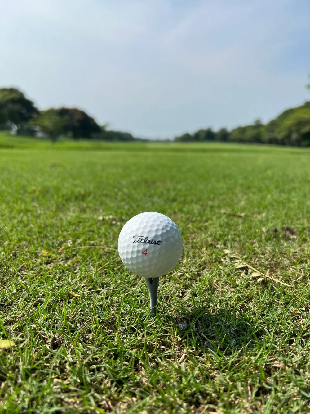 Golf Performance Tee design by angrelou MakerWorld: Download Free 3D Models