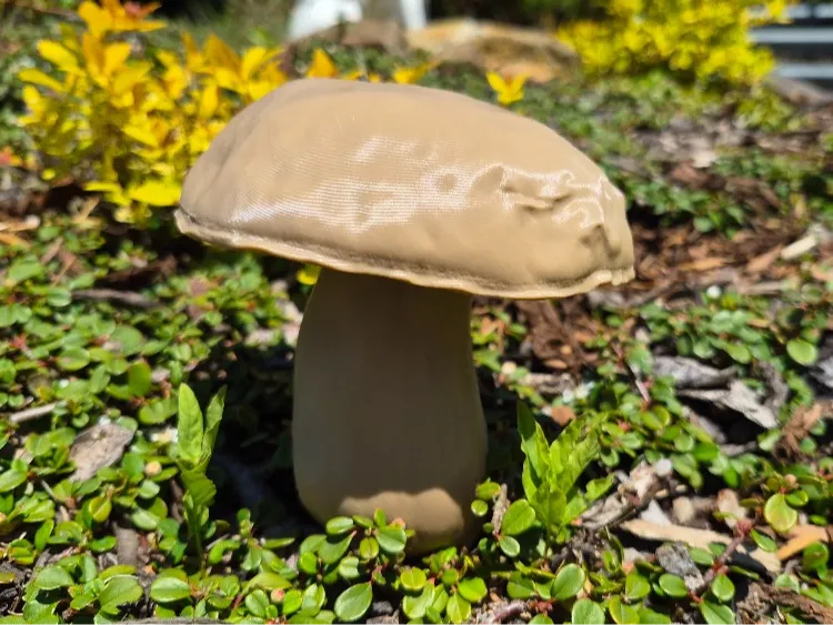 mushroom - Free 3D Print Model - MakerWorld