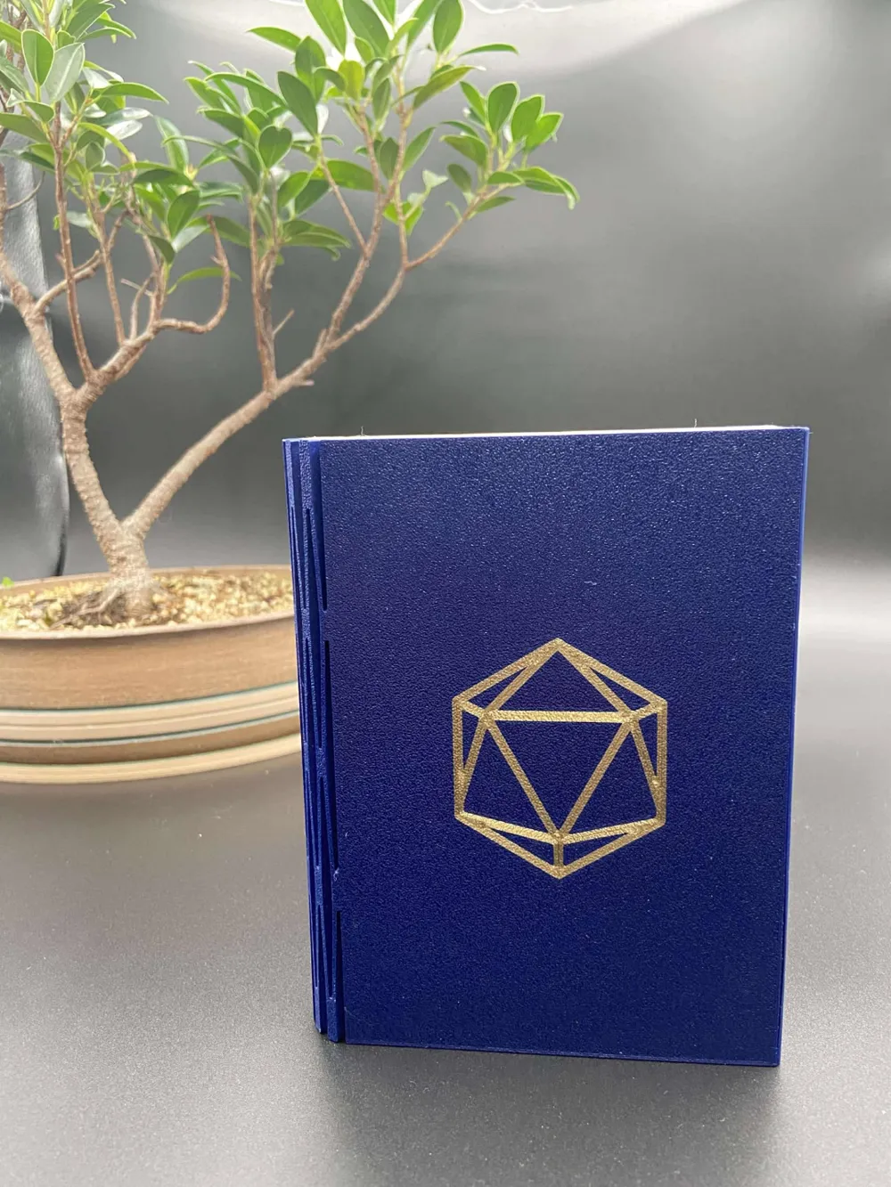 DnD Accessories Book Remixed by lurk3d - MakerWorld