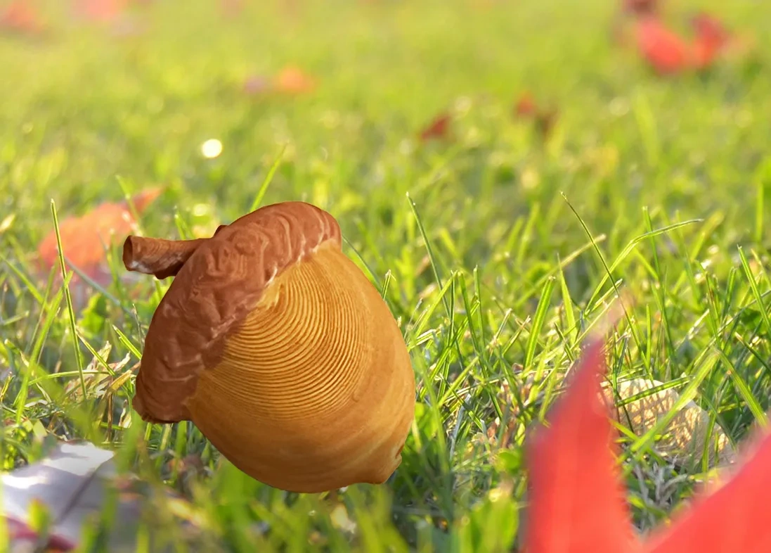 Acorn Ornament Model by user_1924913347 - MakerWorld