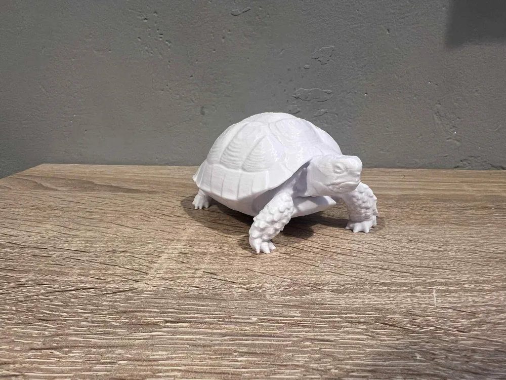 Turtle / Tortoise - Animal - Free 3D Print Model - MakerWorld