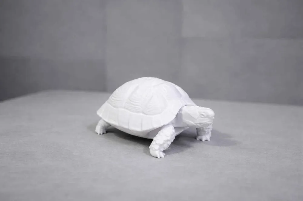 Turtle / Tortoise - Animal - Free 3D Print Model - MakerWorld