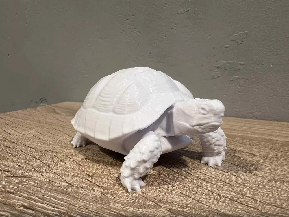 Turtle / Tortoise - Animal - Free 3D Print Model - MakerWorld