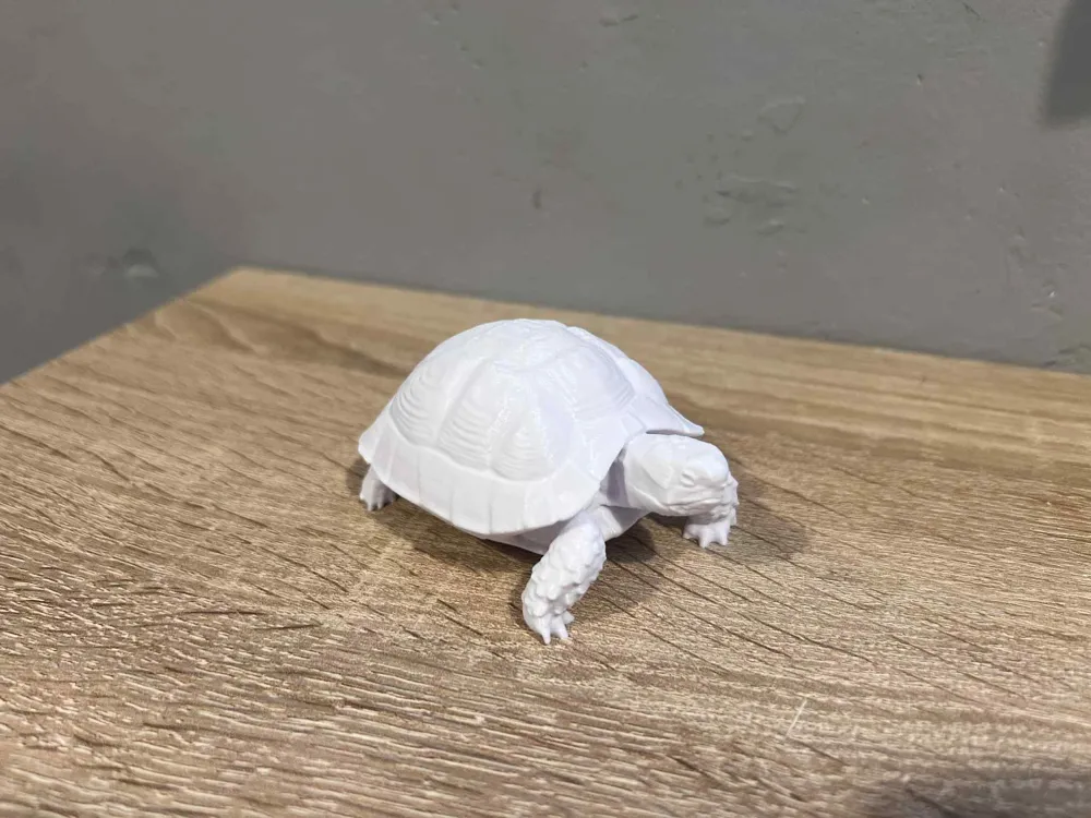 Turtle / Tortoise - Animal - Free 3D Print Model - MakerWorld