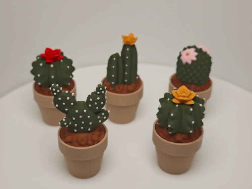 Succulent Fidget Toy Design: Cactus and Echinocactus by Digital 365 ...
