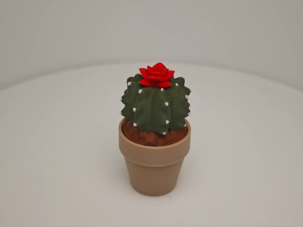 Succulent Fidget Toy Design: Cactus and Echinocactus by Digital 365 ...