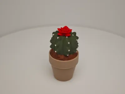 Succulent Fidget Toy Design: Cactus and Echinocactus by Digital 365 ...