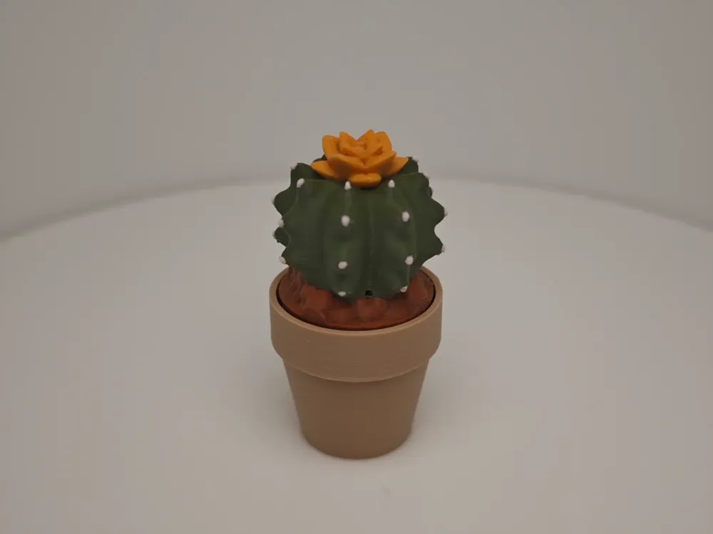 Succulent Fidget Toy Design: Cactus and Echinocactus by Digital 365 ...