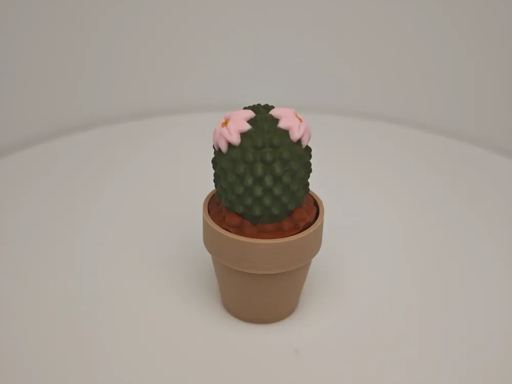 Succulent Fidget Toy Design: Cactus and Echinocactus - Free 3D Print ...