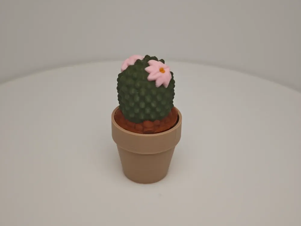 Succulent Fidget Toy Design: Cactus and Echinocactus - Free 3D Print ...