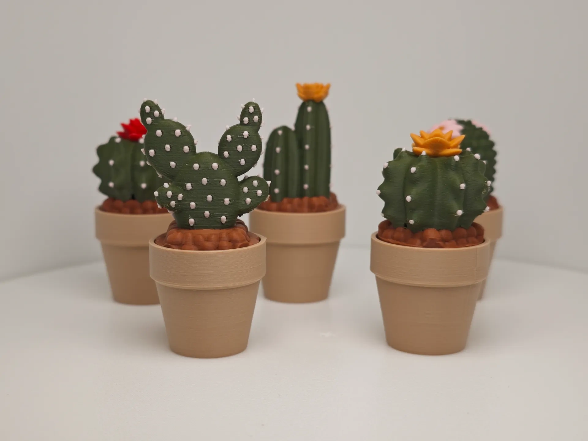 Succulent Fidget Toy Design: Cactus and Echinocactus by Digital 365 ...