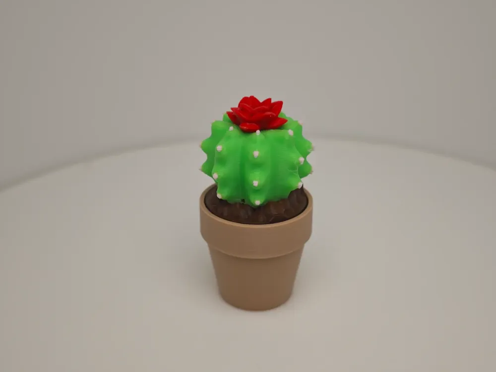 Succulent Fidget Toy Design: Cactus and Echinocactus by Digital 365 ...