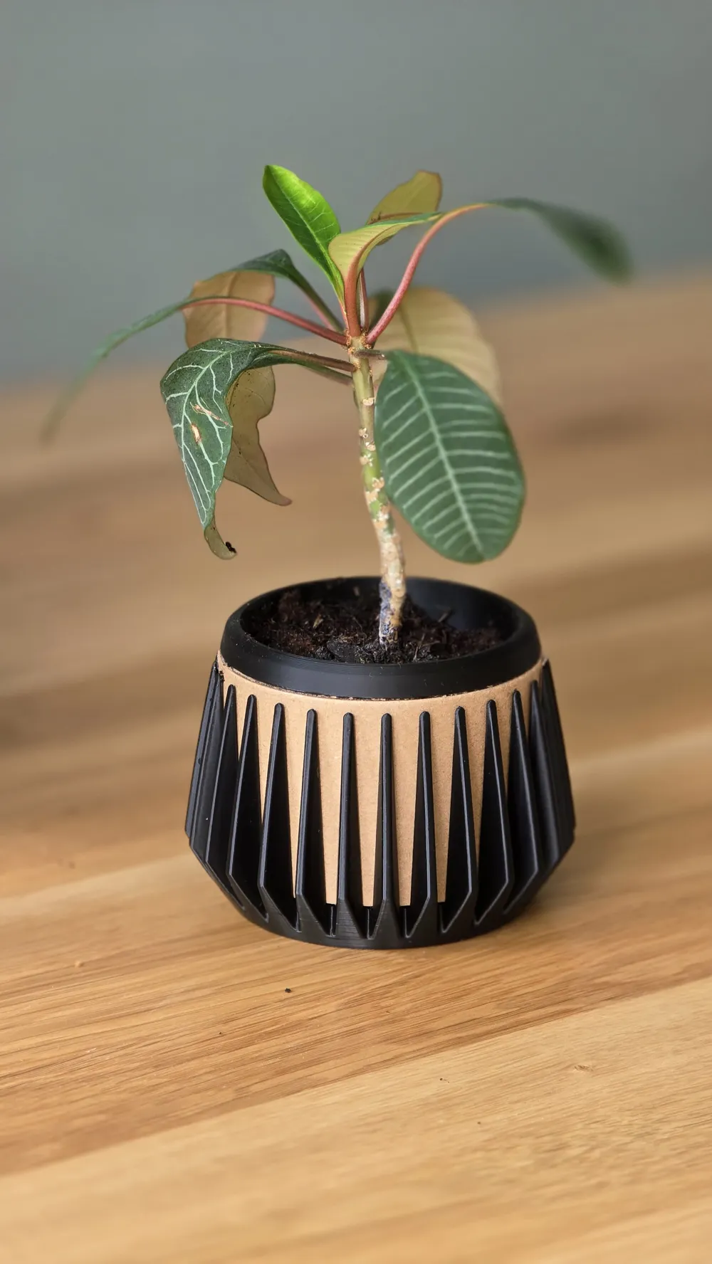 Cardboard Spool Flower Pot by JRooney MakerWorld: Download Free 3D Models