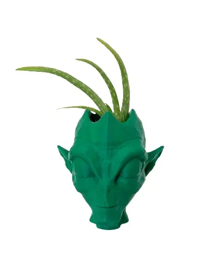 Alien Head Succulent Flower Pot by Ladislau - MakerWorld