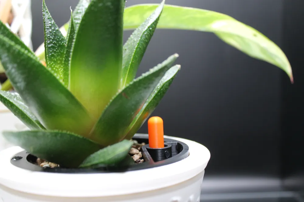 "Lovely" Planter – Cute Look, Clever Core by Chris the Buzz MakerWorld ...