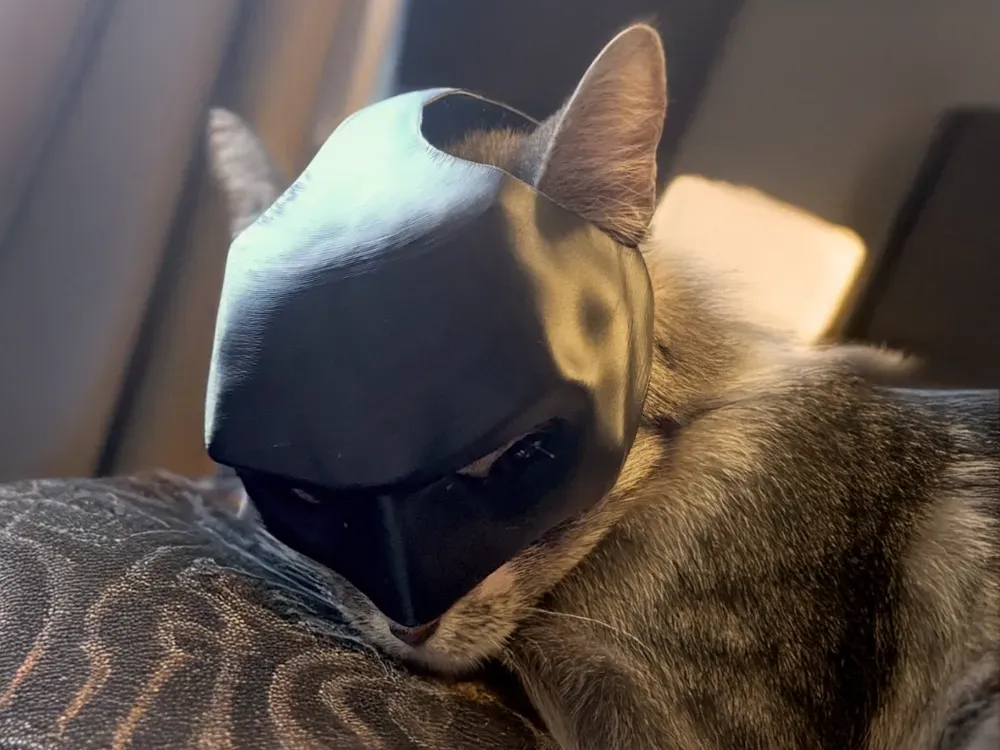 ghotam cat (GHOTAM KITTY) CAT MASK BATMAN - Free 3D Print Model ...