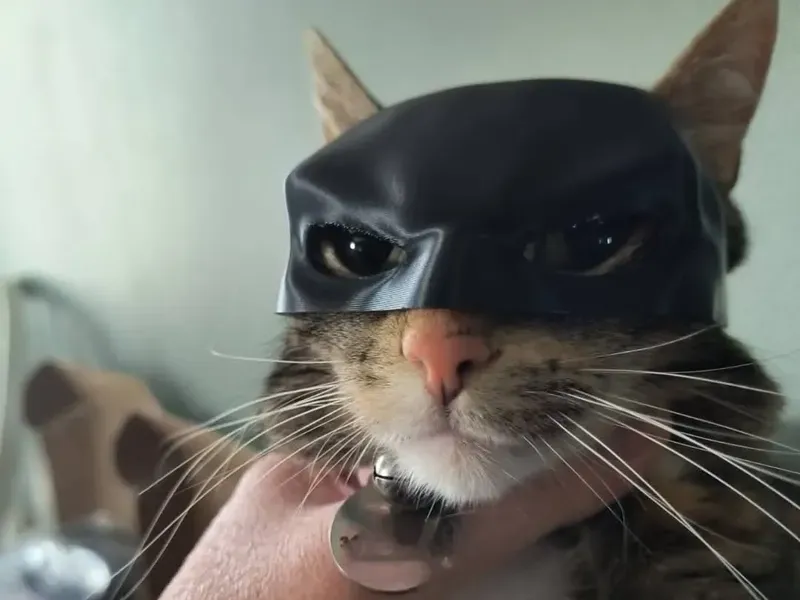 ghotam cat (GHOTAM KITTY) CAT MASK BATMAN - Free 3D Print Model ...