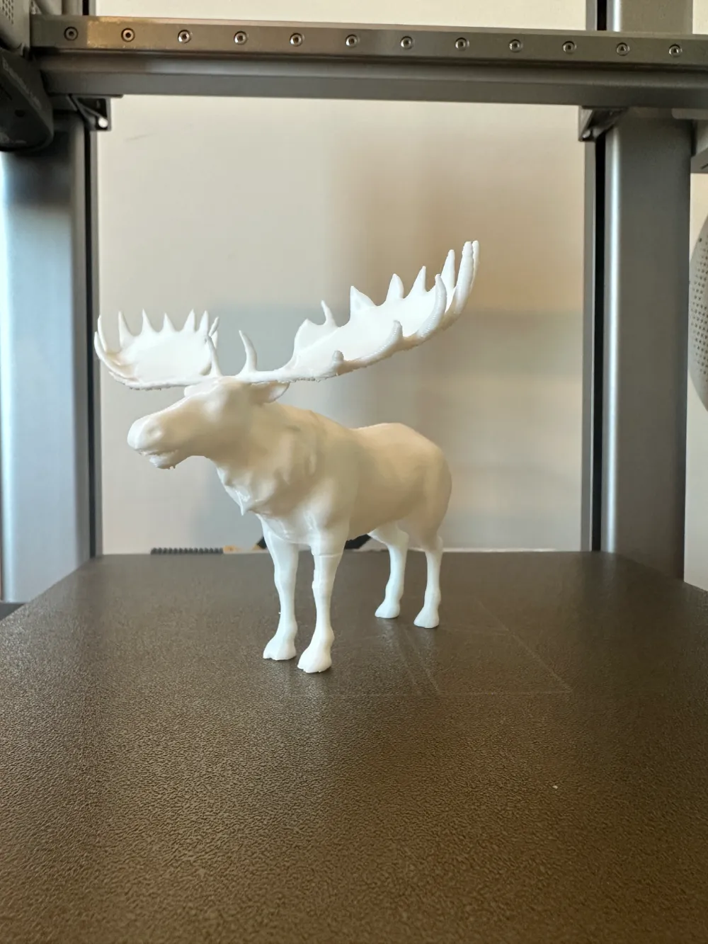 Alaskan moose - Free 3D Print Model - MakerWorld