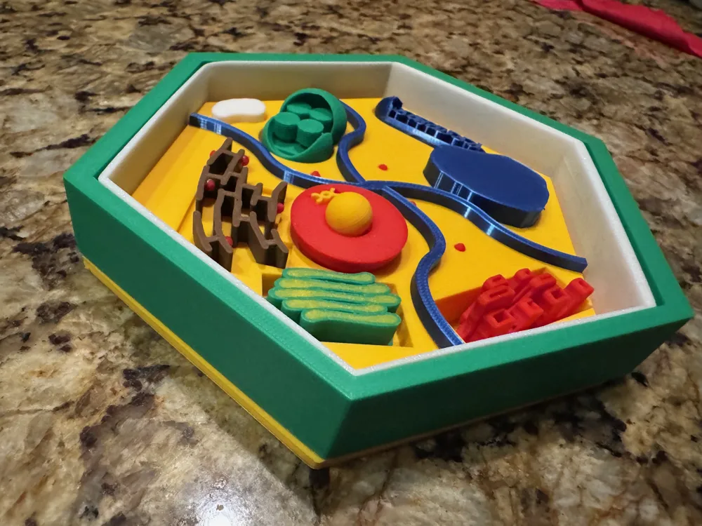 Plant Cell Model - Free 3D Print Model - MakerWorld