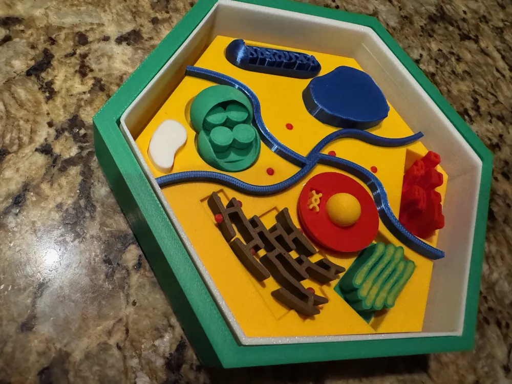 Plant Cell Model - Free 3D Print Model - MakerWorld
