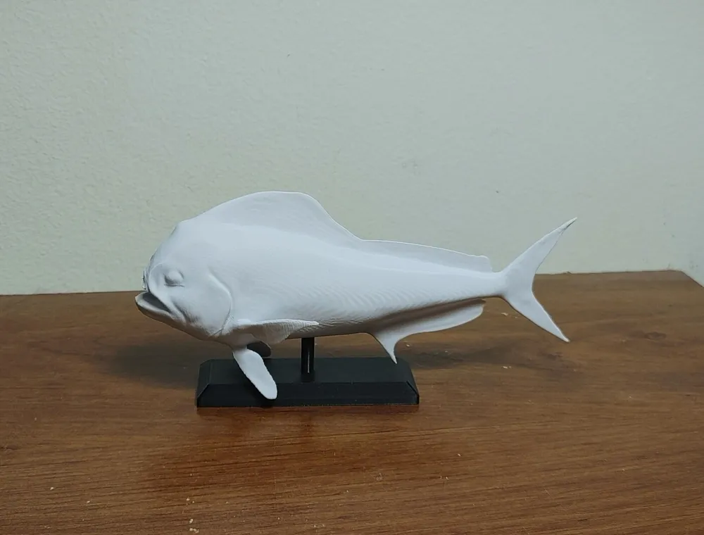 Mahi Mahi Fish Mount by Fish Prints MakerWorld: Download Free 3D Models