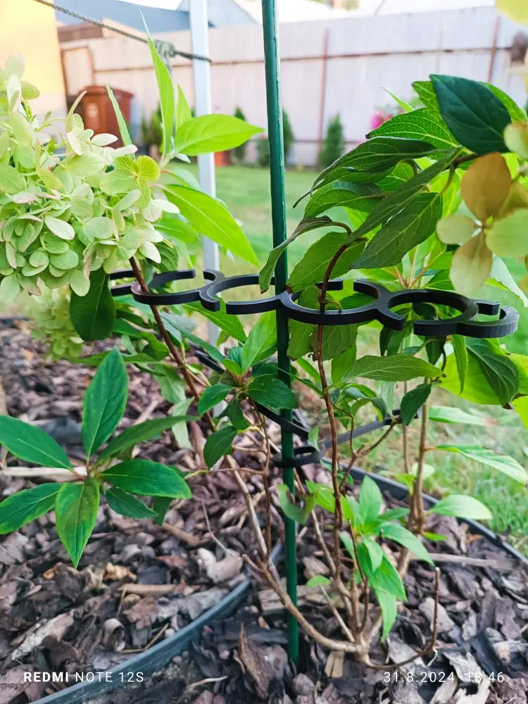 Plant support for outdoor flowers by Gar_Deco - MakerWorld