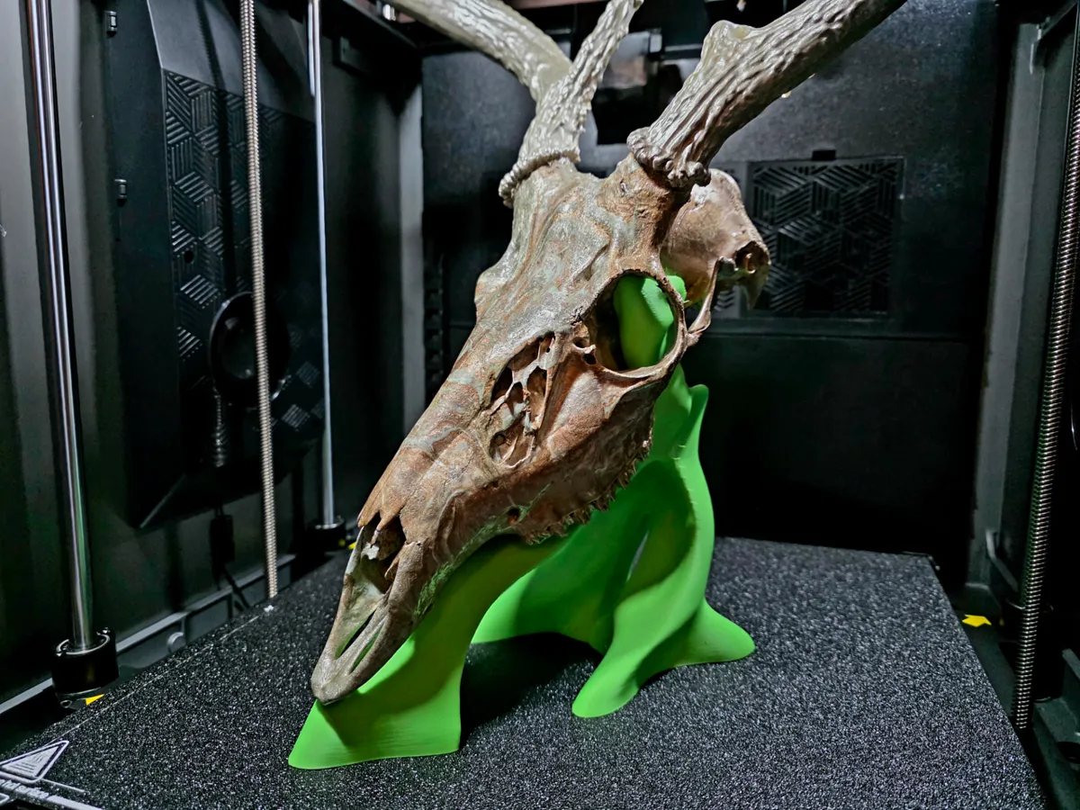 Hirsch Euro Tischständer Version 2 von DTM247 MakerWorld: Kostenlose 3D ...