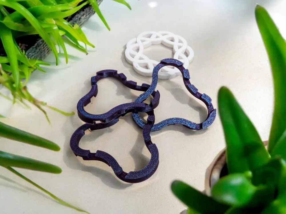 Coaster Interlocking Puzzle Brain Teaser by Sanciio - MakerWorld