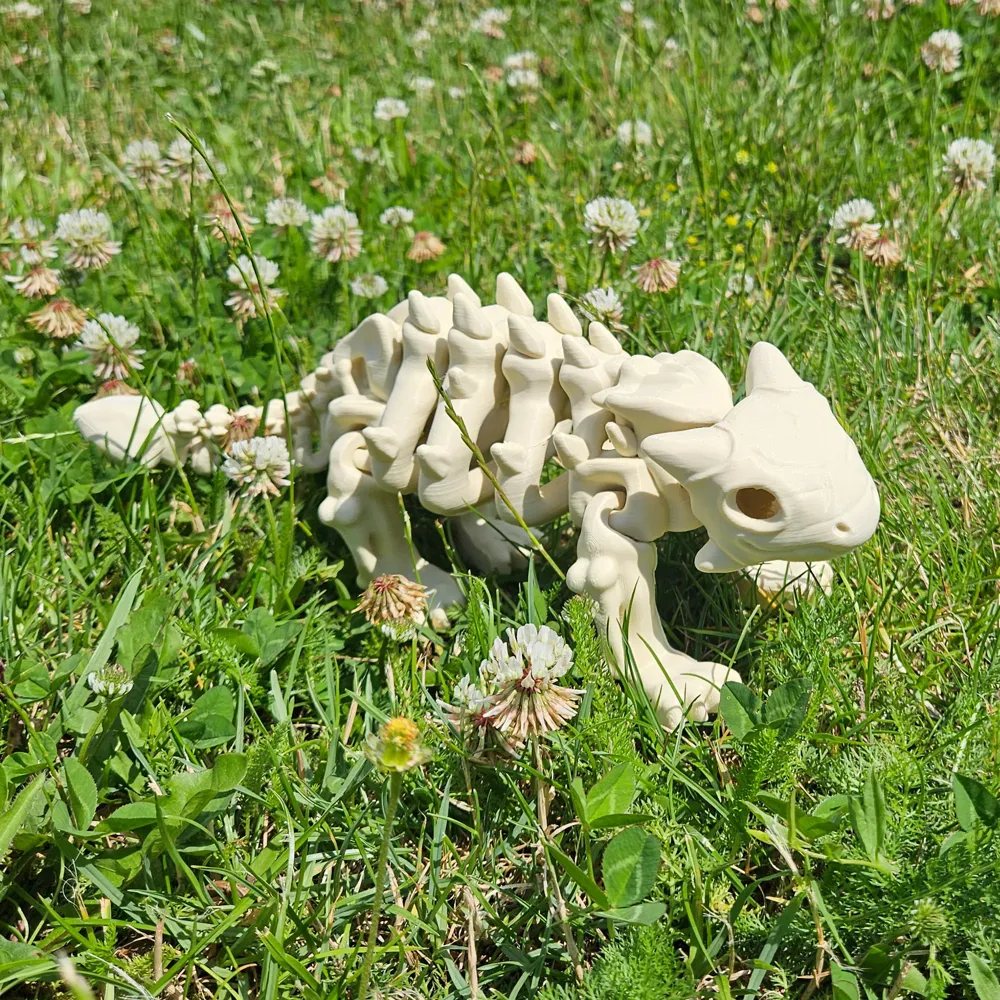 Flexi Dino Skeleton Ankylosaurus Dinosaur - Free 3D Print Model ...