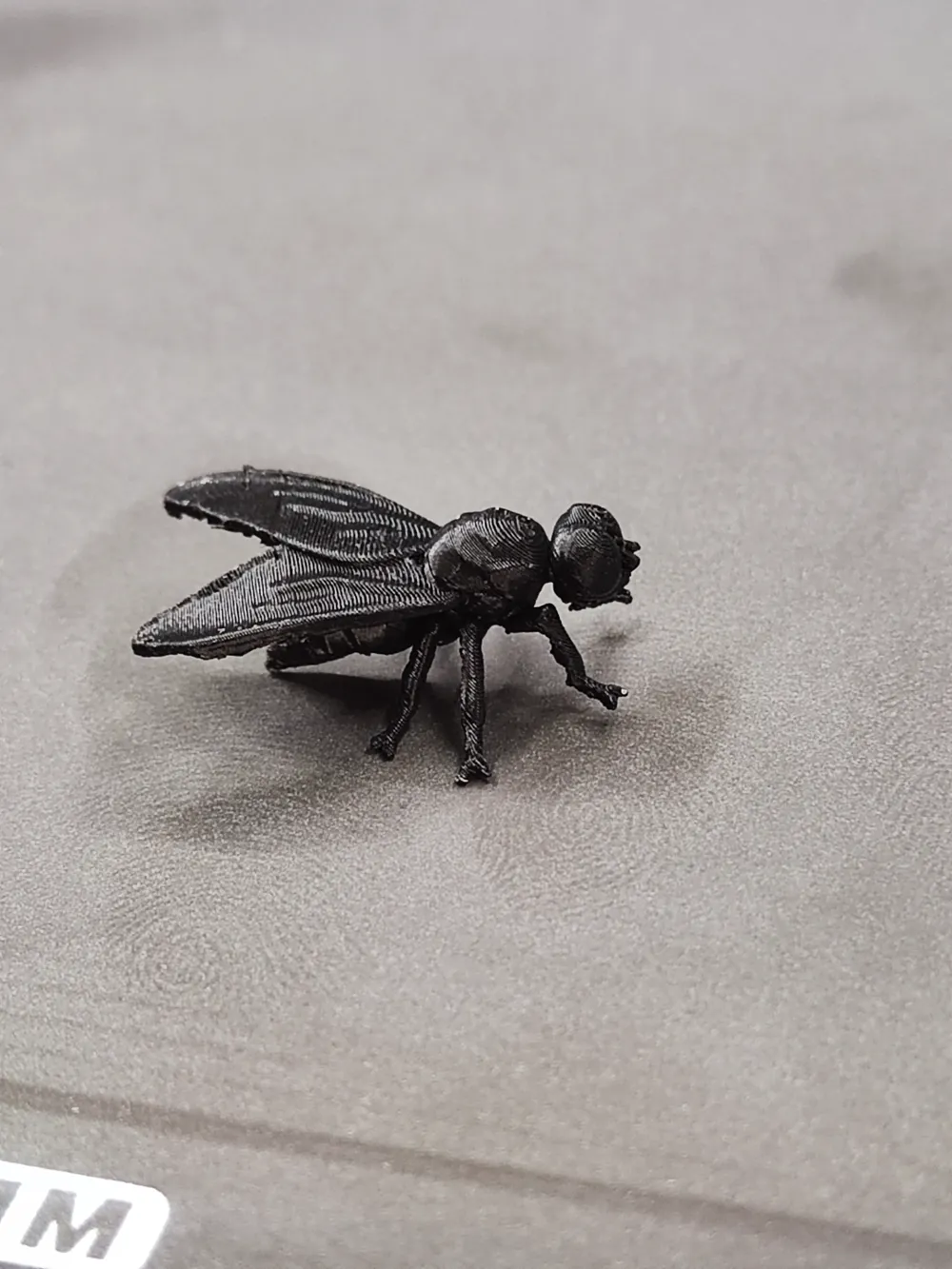 The Fly by Creatività in 3D MakerWorld: Download Free 3D Models