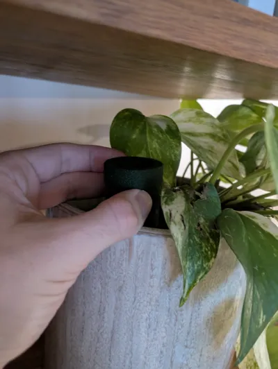 Fungus Gnat Trap for Plants by Jon3D8 MakerWorld: Download Free 3D Models