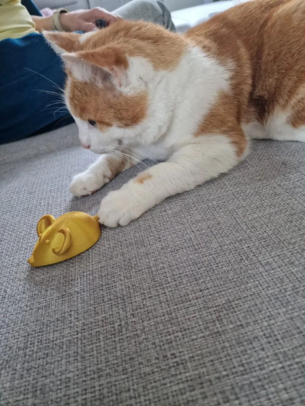 cat toy, mouse, moving tail, riding by MAC&GAC MakerWorld: Download ...