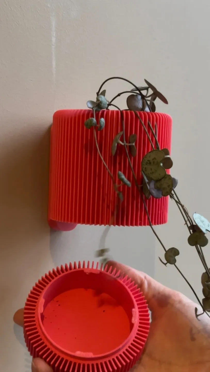 Wall Planter Rib by T3D Objects - MakerWorld