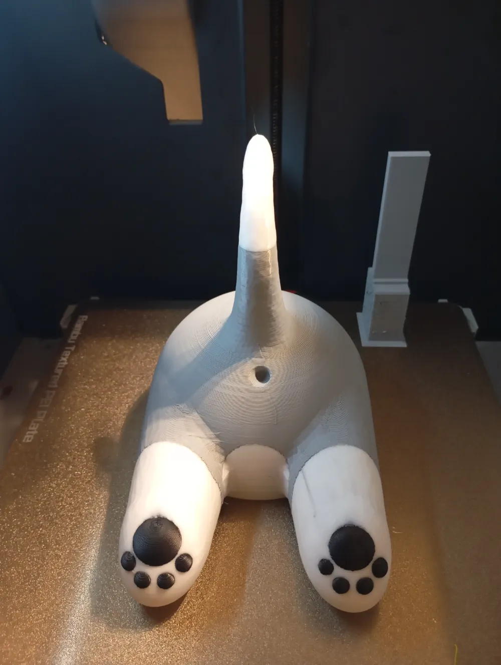 curious kitty cat (neutered) - Free 3D Print Model - MakerWorld