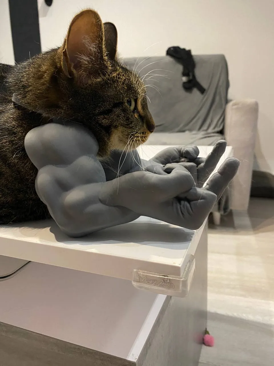 Muscular Cat Accessory – Scratcher & Headband - Free 3D Print Model ...