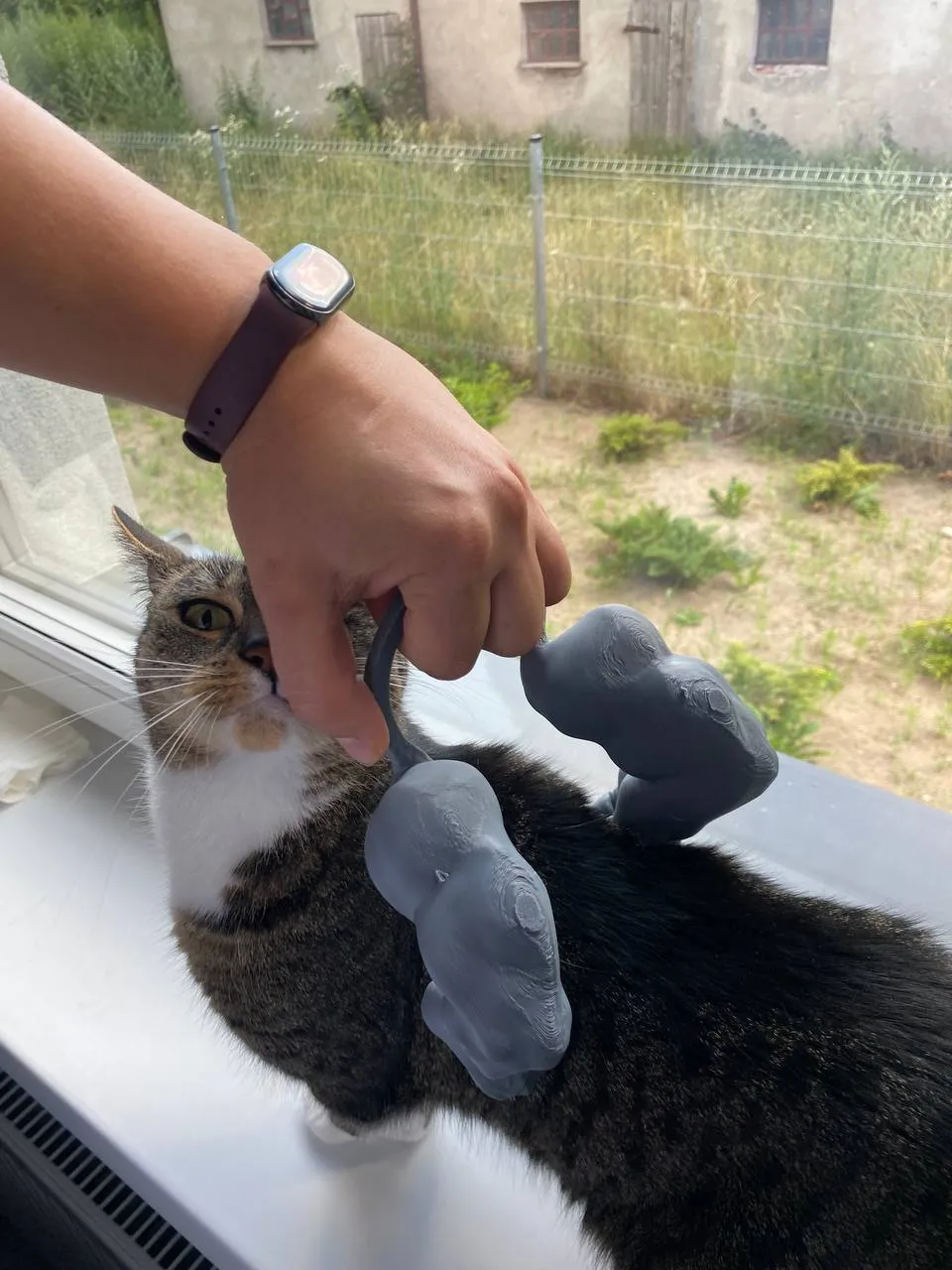 Muscular Cat Accessory – Scratcher & Headband - Free 3D Print Model ...