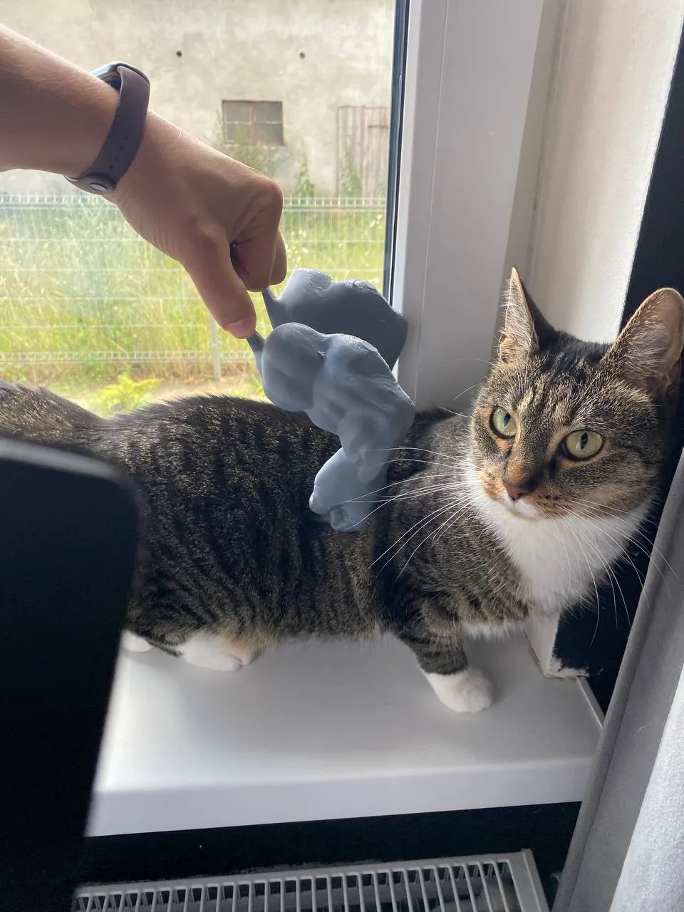 Muscular Cat Accessory – Scratcher & Headband - Free 3D Print Model ...