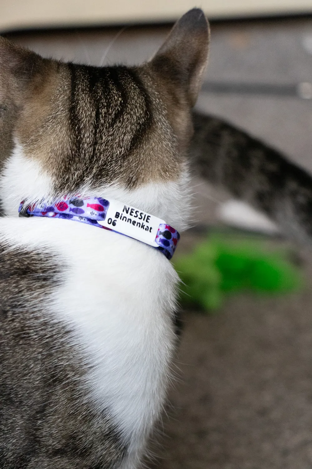Customizable Cat ID Tag for 1 cm collar by Lisa MakerWorld: Download ...