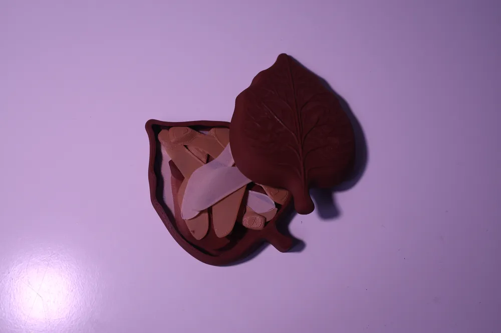Rotating Maple Seeds Set by Mdesign MakerWorld: Download Free 3D Models