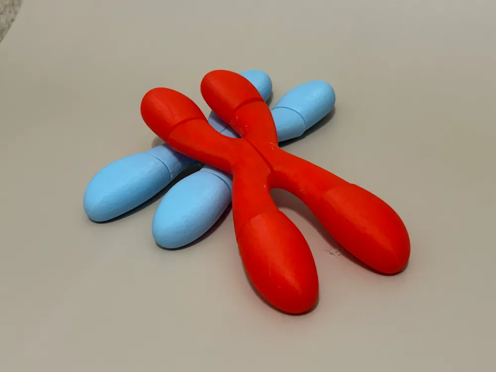 Magnetic Chromosome Learning Tool! - Free 3D Print Model - MakerWorld